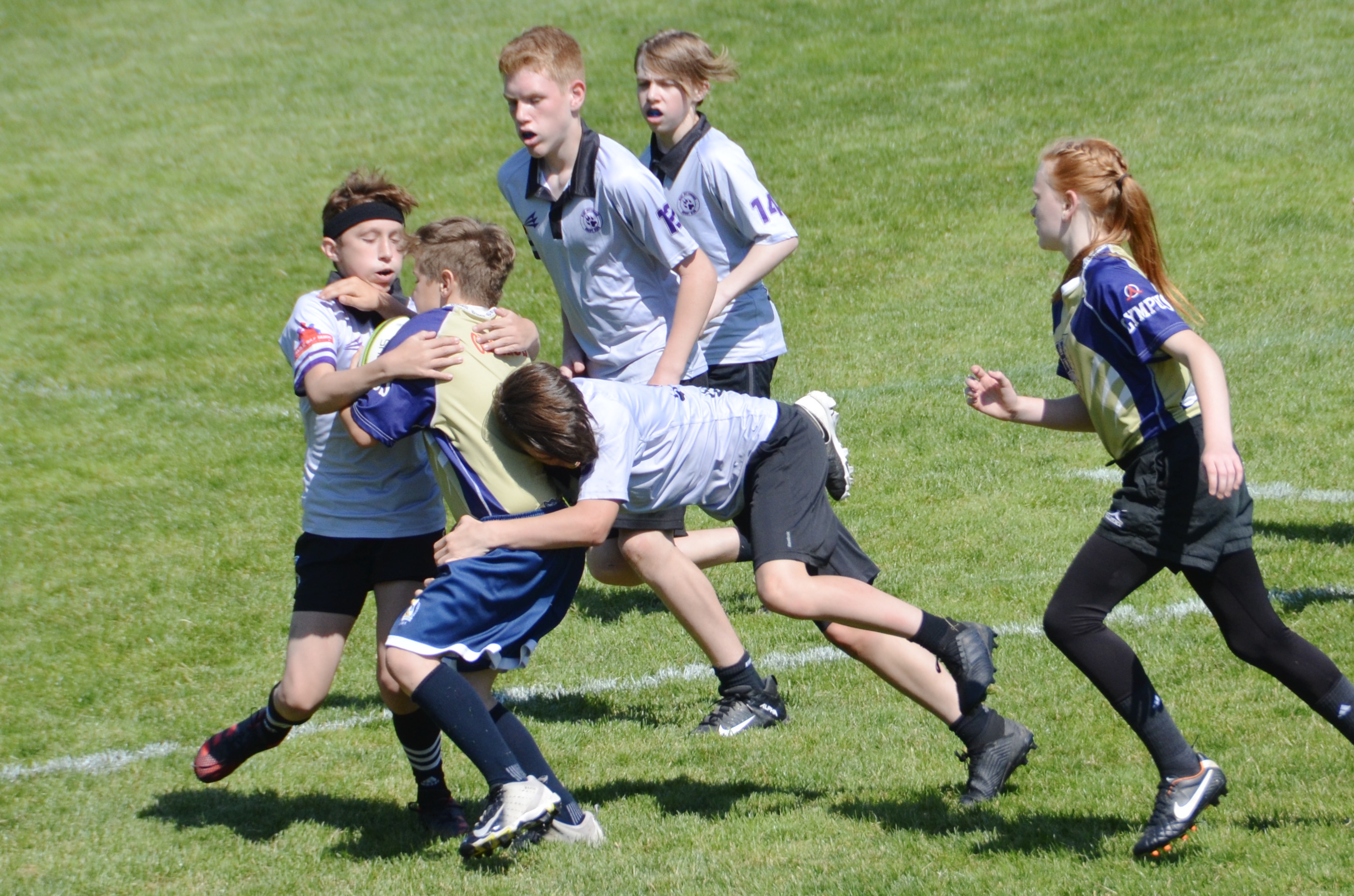 Pittsburgh Harlequin Rugby